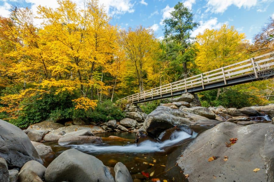 Your Ultimate Guide to the Smoky Mountain Fall Colors