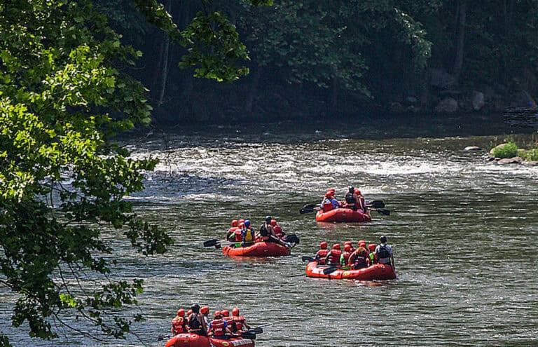 4 Types of Groups Who Love White Water Rafting in the Smoky Mountains